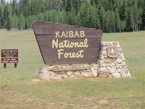 Dians Timpanalley Kaibab National Forest