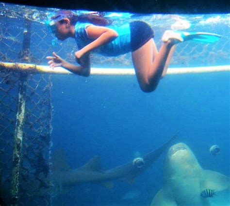 Curacao Sea Aquarium Friday Snorkel Club Picture Courtesy Of Dolphin