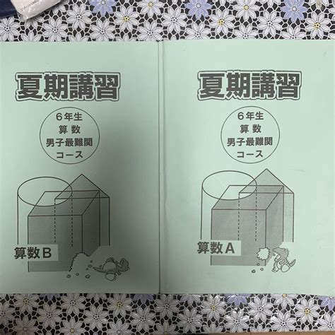 浜学園夏期講習6年生算数男子最難関コース算数a、bセット メルカリ