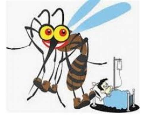 Gambar Nyamuk Aedes Kartun 6 Penyakit Di Indonesia Yang Sering