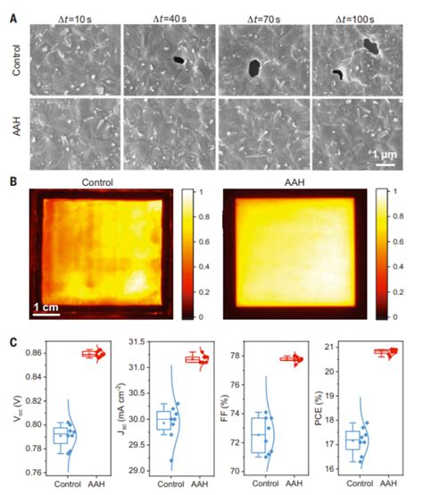 南京大学谭海仁最新science：钙钛矿叠层太阳能组件的均匀结晶和埋底界面钝化 知乎
