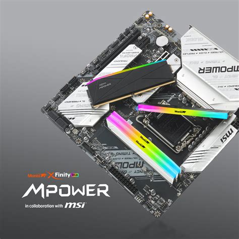 Ddr5 Manta Xfinity Rgb