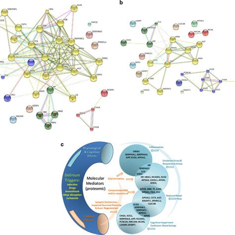 Pathway Analysis String V905 Of 39 Proteins Significantly