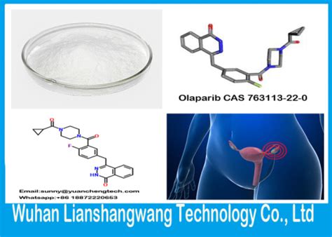 Parp Inhibitor Olaparib For Advanced Ovarian Cancer Treatment High