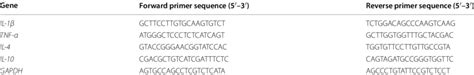 Sequences Of Primers For Real Time Quantitative Polymerase Chain Reaction Download Scientific