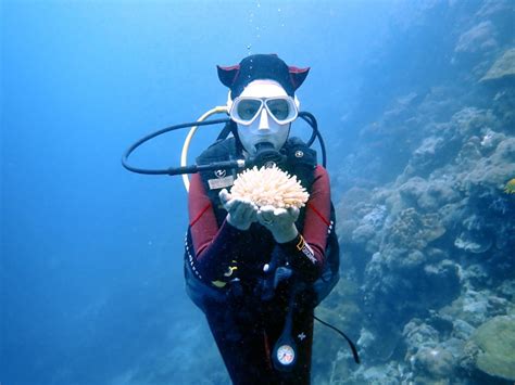 세부다이빙 세부 스쿠버다이빙 오픈워터 자격증 네이버 블로그