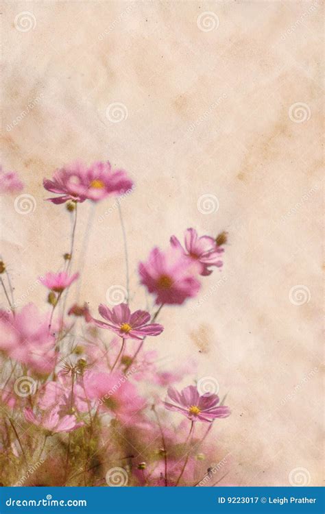 Paper Texture With Flowers Stock Illustration Illustration Of Rough