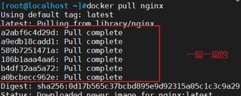 Dockerfile