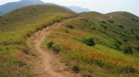 牙鷹山｜綠洲 Oasistrek