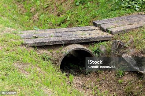 작은 즉석 뒷마당 다리로 사용되는 오래된 낡은 콘크리트 타일로 덮여 폭풍 배수 콘크리트 파이프 0명에 대한 스톡 사진 및 기타 이미지 Istock