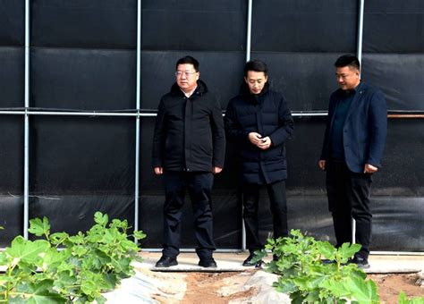 临泽县人民政府 张辉调研重点项目建设工作
