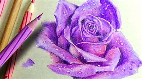 Rose Drawing With Color Pencil A Step By Step Guide