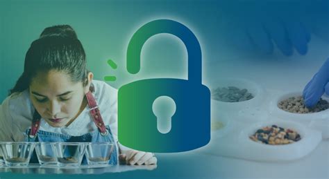 Unlocking Flavor Secrets Guidelines For Food And Beverage Sensory Analysis Beverage Master