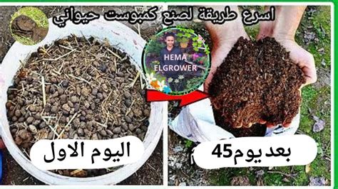 اسرع طريقة لتخمير السماد العضوي بخطوات بسيطةافضل سماد عضويكمبوست