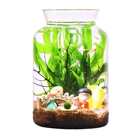 生态瓶鱼微景观创意diy水族箱免换水迷你小型办公桌面生态玻璃瓶 虎窝淘