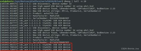 Linux 确定usb 对应的串口节点linux设备上串口 对应 Windows 哪个 Csdn博客