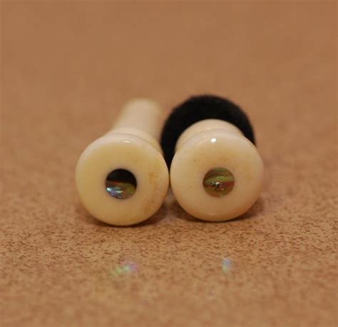 Fossil Mammoth Guitar Strap Button Abalone Inlay