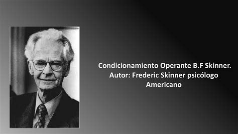 Skinner Definition Adjective At Joyce Haynes Blog