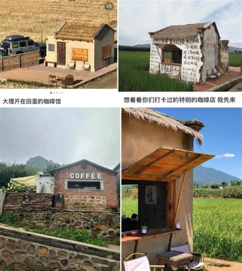 农家乐倒了，“农家乐餐饮”在崛起 36氪
