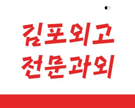 김포외고 국어 사탐 맞춤 내신 사회 영어과외 수학과외 전문 과학 김포외국어고등학교