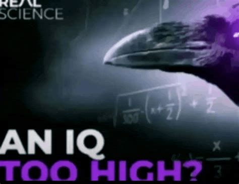 An Iq Too High Meme An Iq Too High Discover And Share S