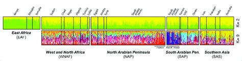 A Structure Analysis Plot Showing The Domestication Of African Camels