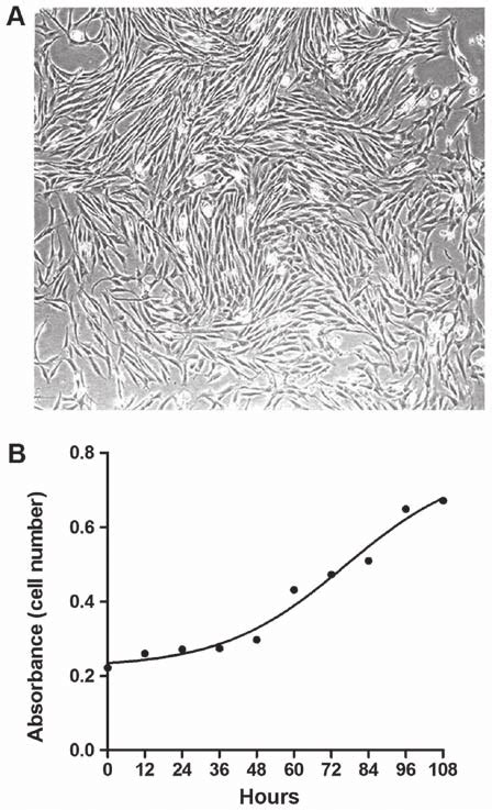 Proliferation Of Primary Human Fibroblasts A Primary Hlfs Displayed