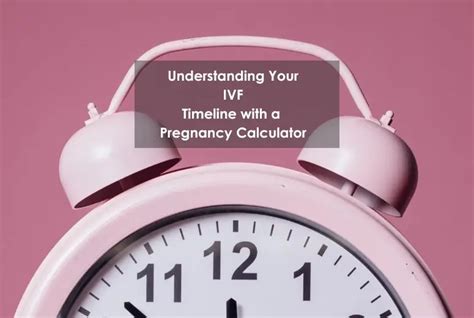 Understanding Your Ivf Timeline With A Pregnancy Calculator