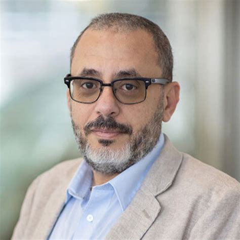 Mohamed Shehata