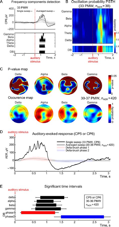 Temporal And Spatial Localization Of The Reconstructed Oscillations Of Download Scientific