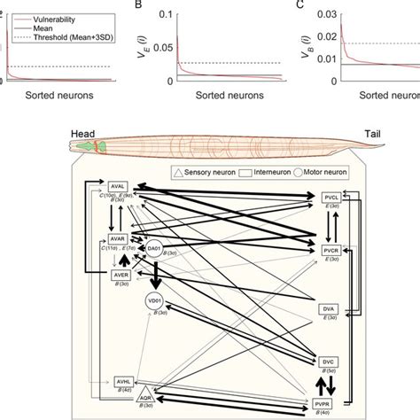 Vulnerability Results For Each Network Property And A Visualization Of