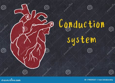 Chalk Sketch Of Human Heart On Black Desc And Inscription Conduction