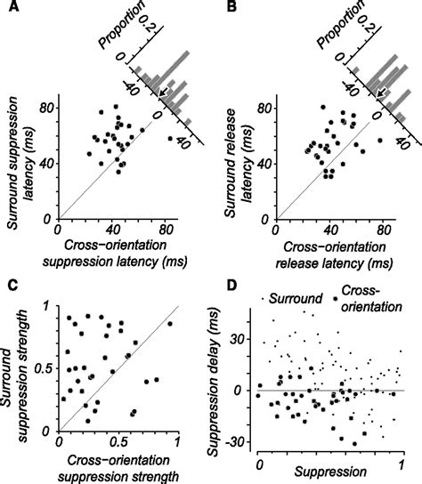 Dynamics Of Suppression In Macaque Primary Visual Cortex Journal Of