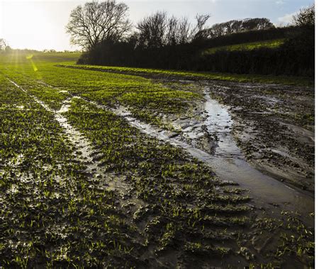 Leach Field Problems Septic Tank Services