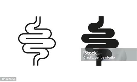 창자 라인과 실루엣 아이콘 세트 위장 염증 기호 모음 건강 결장 소장 창자 인간 소화 시스템 픽토그램 격리된 벡터 그림 소화기