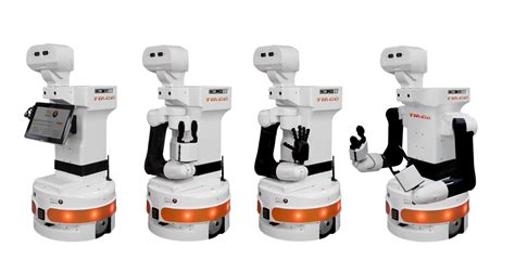 Tiago Robot Simulation The Construct
