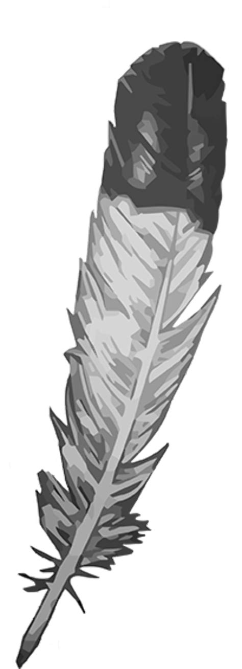 Eagle Feathers Clipart