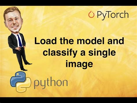 The Best Pytorch Image Models Reason Town