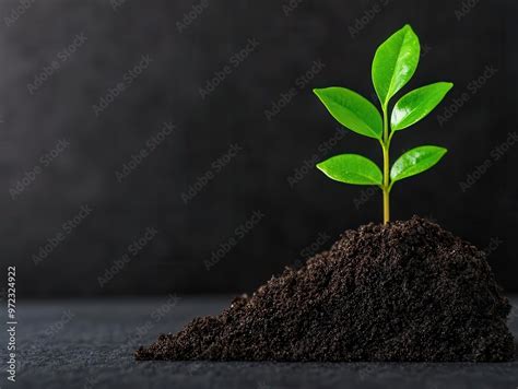 Leadership Implementing A Sustainable Product Life Cycle Management
