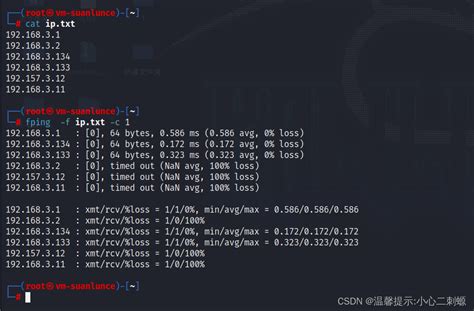 Fping使用fping Ipv6 Csdn博客