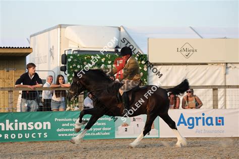 F516615 2025 1st Class Images