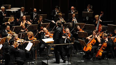 Alexander Steinitzgallery