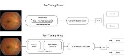 Pre Tuning Phase And Post Tuning Phases Of Cnn Download Scientific