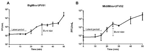 One Step Growth Curves The Initial Phage Titer Was 10 3 Pfu Ml A Download Scientific