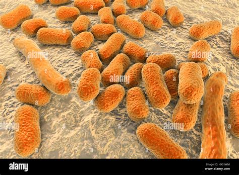 Multi Drug Resistant Acinetobacter Baumannii Bacteria Computer Illustration A Baumannii Is Gram