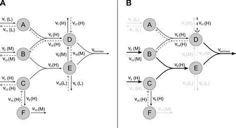 Illustration Of The Issue Of Spurious Cycles Of Reversible Reactions