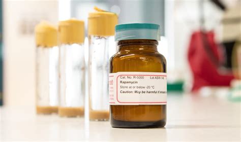 Unlocking The Secrets Of Youth How Rapamycin Could Redefine Aging