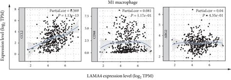 Correlations Between LAMA4 Expression And Six Infiltrating Immune Cells