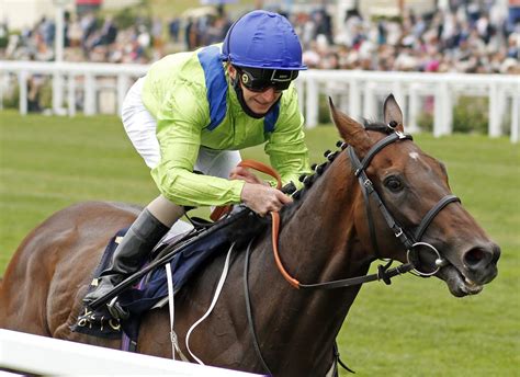 Gold Cup Hero Subjectivist Retired Stud Plans Pending