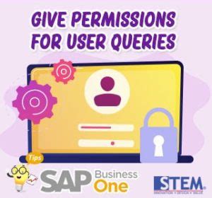 SAP Business One User Query SAP Business One Indonesia Tips STEM